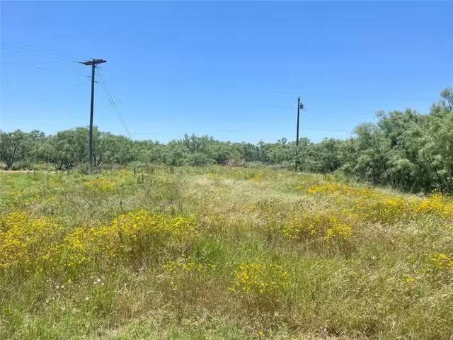 1420 Air Base Rd, Tye, TX 79563