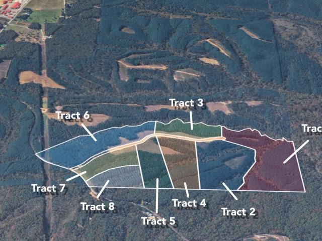 1420 Big Swan Creek Rd Tract 1