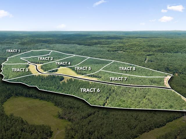 1420 Big Swan Creek Rd Tract 3