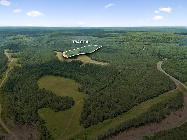 1420 Big Swan Creek Rd Tract 4