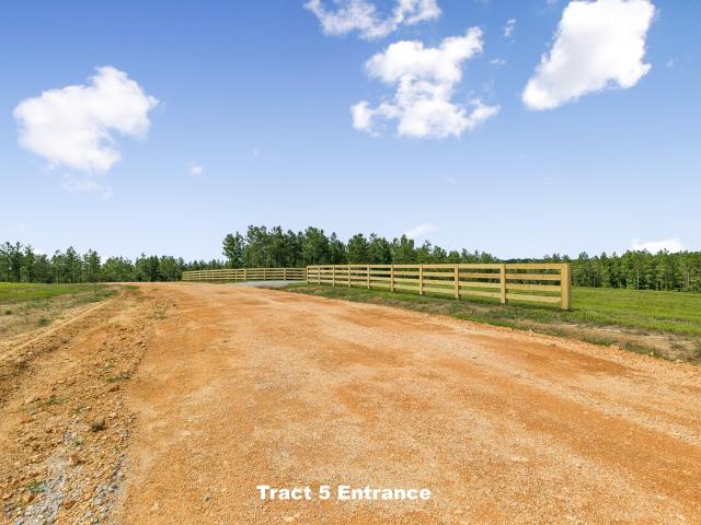 1420 Big Swan Creek Rd Tract 5