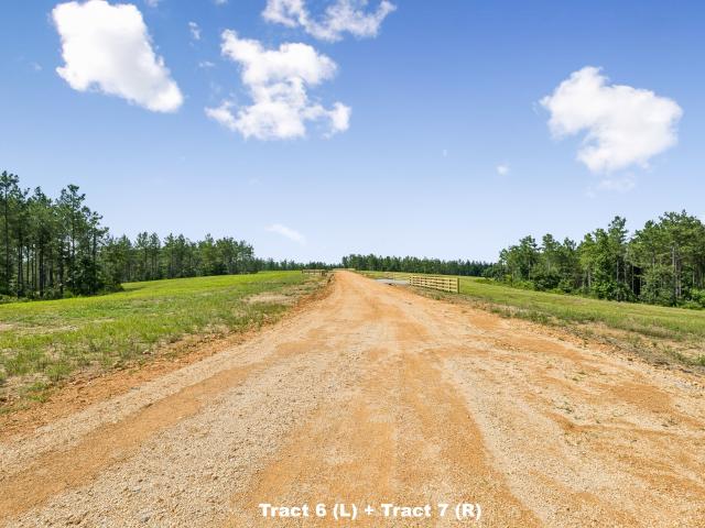 1420 Big Swan Creek Rd Tract 6