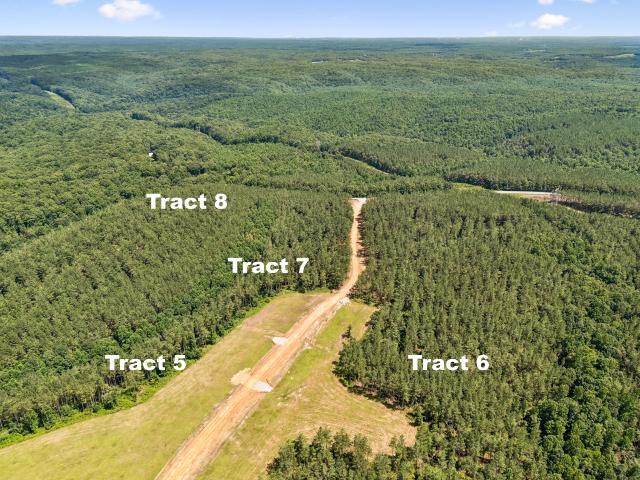 1420 Big Swan Creek Rd Tract 8