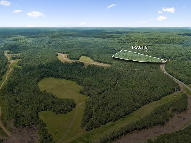 1420 Big Swan Creek Tract Rd # 8, Summertown, TN 38483