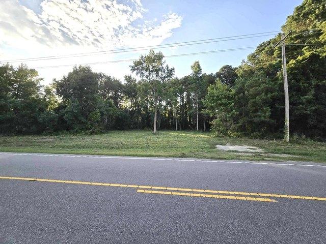 1420 Bill Davis Rd, Manning, SC 29102
