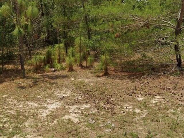14214 SW 60th Ter, Ocala, FL 34473