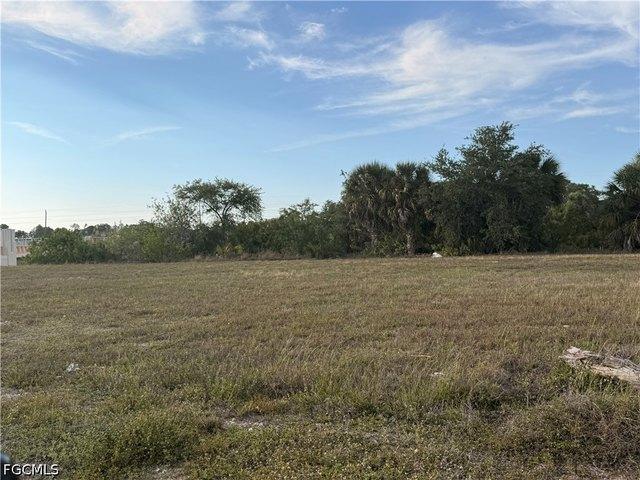 1421 NE 23rd St, Cape Coral, FL 33909