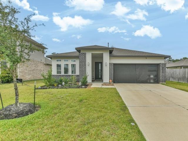 14226 Lake Lodge Dr, Conroe, TX 77384