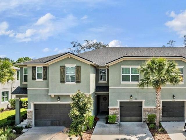 14229 Damselfly Dr, Tampa, FL 33625