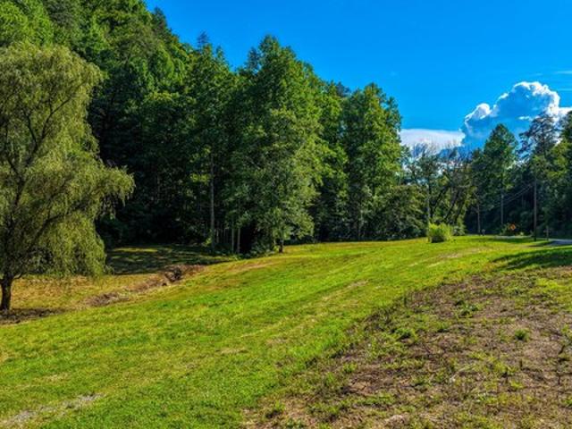 1422 Pressmens Home Rd, Rogersville, TN 37857