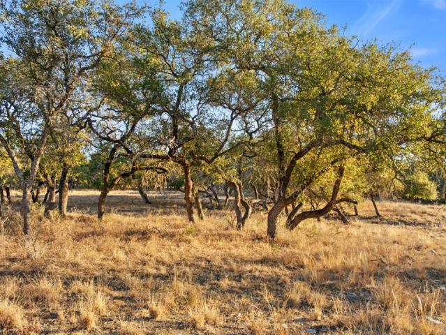 1422 10 Ranch to Market Road 2766, Johnson City, TX 78636 | MLS #100631