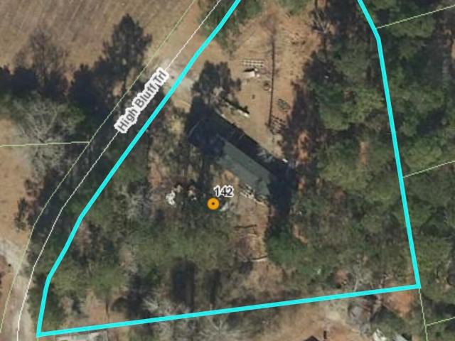 142 High Bluff Trail