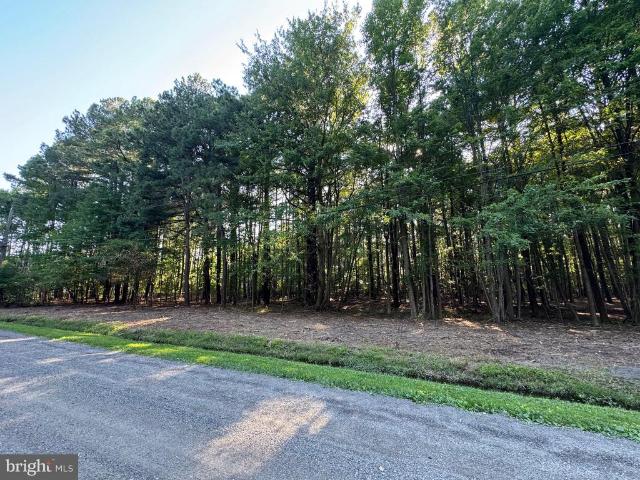 142 Olive Branch Road # LOT 7
