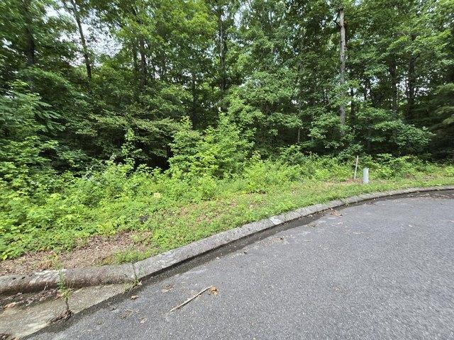 142 Lower Brow Rd, Dunlap, TN 37327