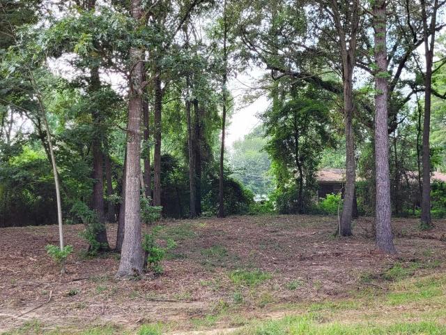142 Leopard Drive