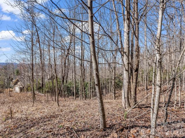 142 Mountain Elder Ln, Unit 79, Hendersonville, NC 28739 | MLS #4349