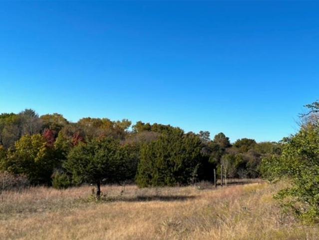 142 Mulligan Ln, Azle, TX 76020 | MLS #21172