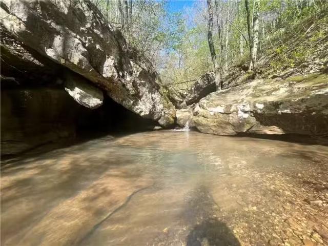 142 NC 8389, JASPER, AR 72641 Vacant Land For Sale MLS# 1304887