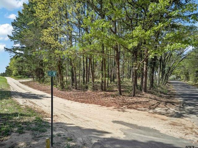 142 Sandy Ln, Bullard, TX 75757