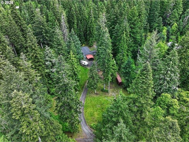 142 Spring Ln, Stevenson, WA 98648