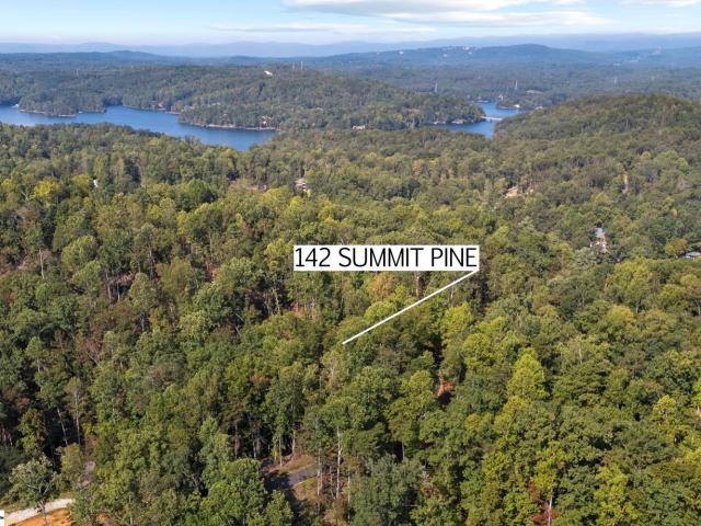 142 Summit Pine, Sunset, SC 29685 | MLS #1570
