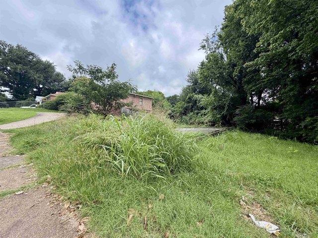 142 W Davant Ave Lots 25 & 26, Memphis, TN 38109