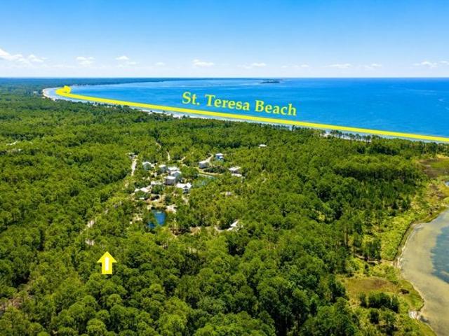 142 Winding Trail Way, Saint Teresa, FL 32358