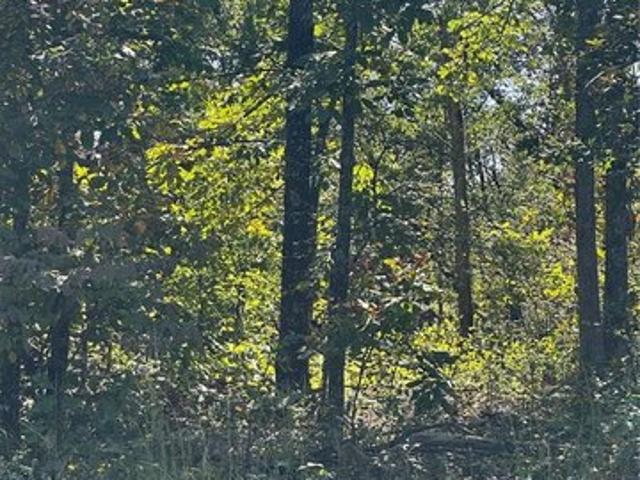142e 24b, Doniphan, MO 63935