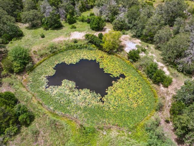 1434 County Road 139