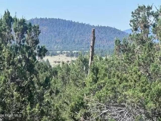 1434 E Barbara Road, Williams, AZ 86046 652856723