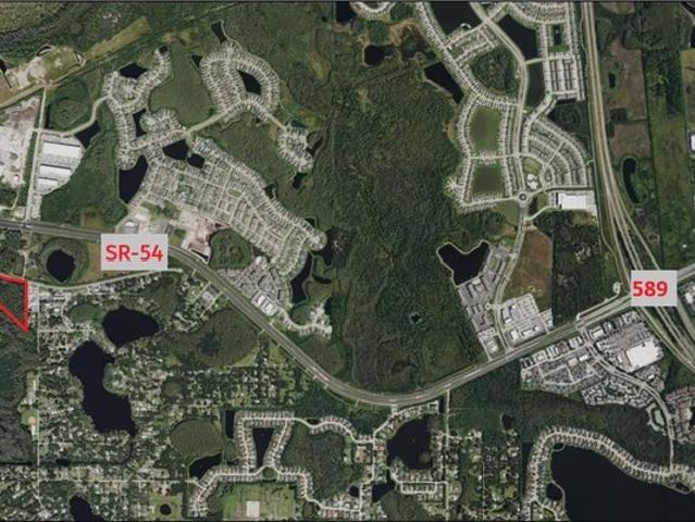 14356 Black Lake Rd, Odessa, FL 33556
