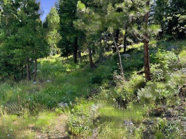 1435 Majestic View Dr Lot 81, McCall, ID 83638