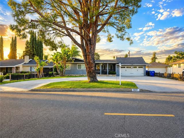 1437 E Vine