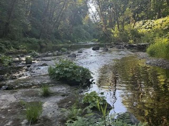 14382 Lobster Valley Rd, Alsea, OR 97324