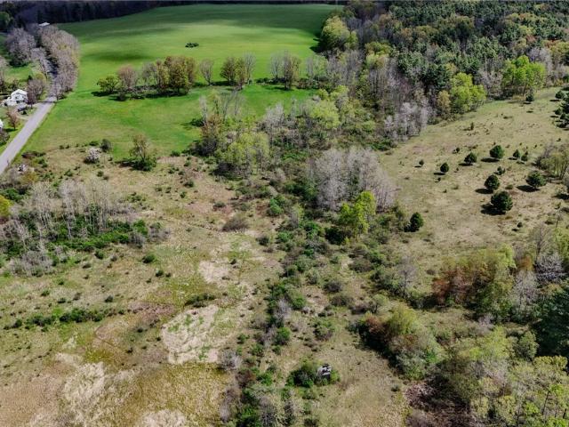 1438 County Highway 4