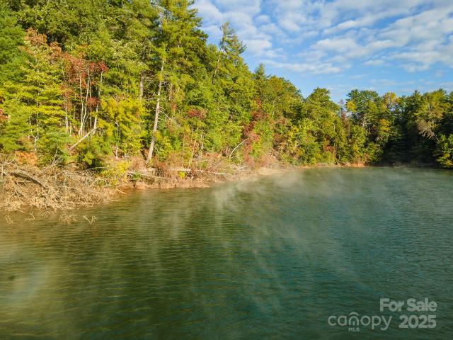1439 Camp Firestone Dr, Nebo, NC 28761 | MLS #4312