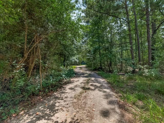 14303 Lyric Road