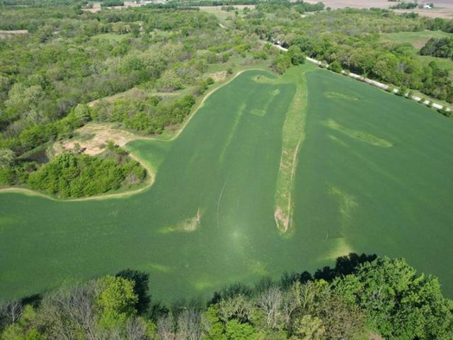 14300 E Oakford Ave, Oakford, IL 62673