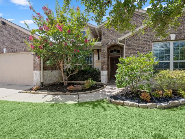 14305 Sawtooth Forest Court