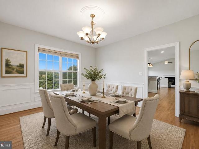 14309 Ladderbacked Drive