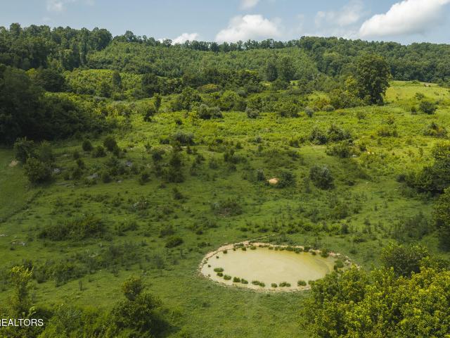 1430 Clinch Valley 55.55 acres Rd