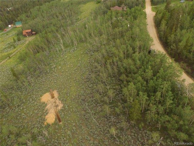 1430 Coil Dr, Fairplay, CO 80440