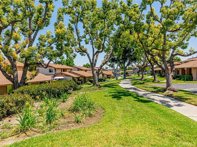 1430 Countrywood Ave 61