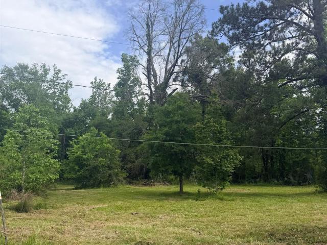 14312 Howard Thomas Rd, Walker, LA 70785 | MLS #BR2026006 | Compass