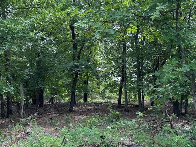 14314 Indian Ridge