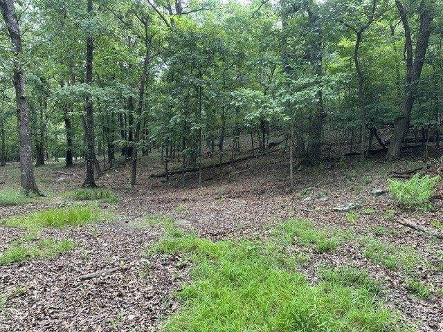 14315 Blue Mountain Rd, Prairie Grove, AR 72753