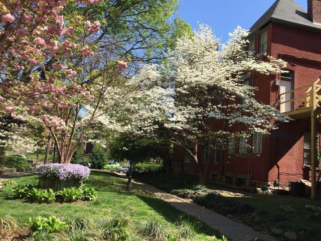 1432 S. 4th Street 3 Bedroom Apartment for Rent at 1432 S 4th St, Louisville, KY 40208 Old Louisville