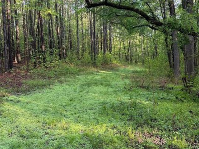 1433 Cleveland Farms Rd, Locust Grove, GA 30248