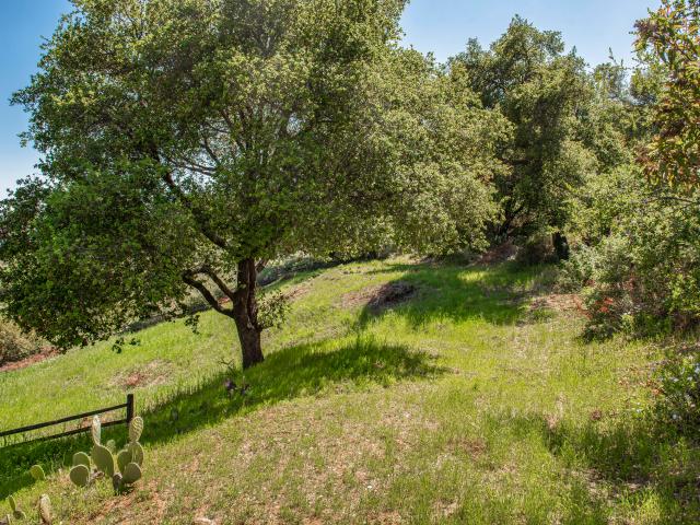 1433 Tunnel Rd, Santa Barbara, CA 93105 | MLS #25 1830 | Compass