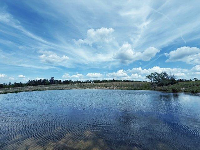 143 Ac County Road 236, Oakwood, TX 75855